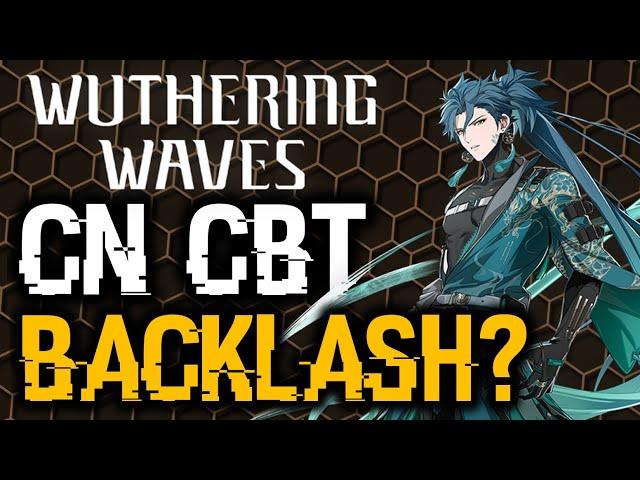 Wuthering Waves - CN COMMUNITY CBT BACKLASH & DRAMA!? - Wuthering Waves ...