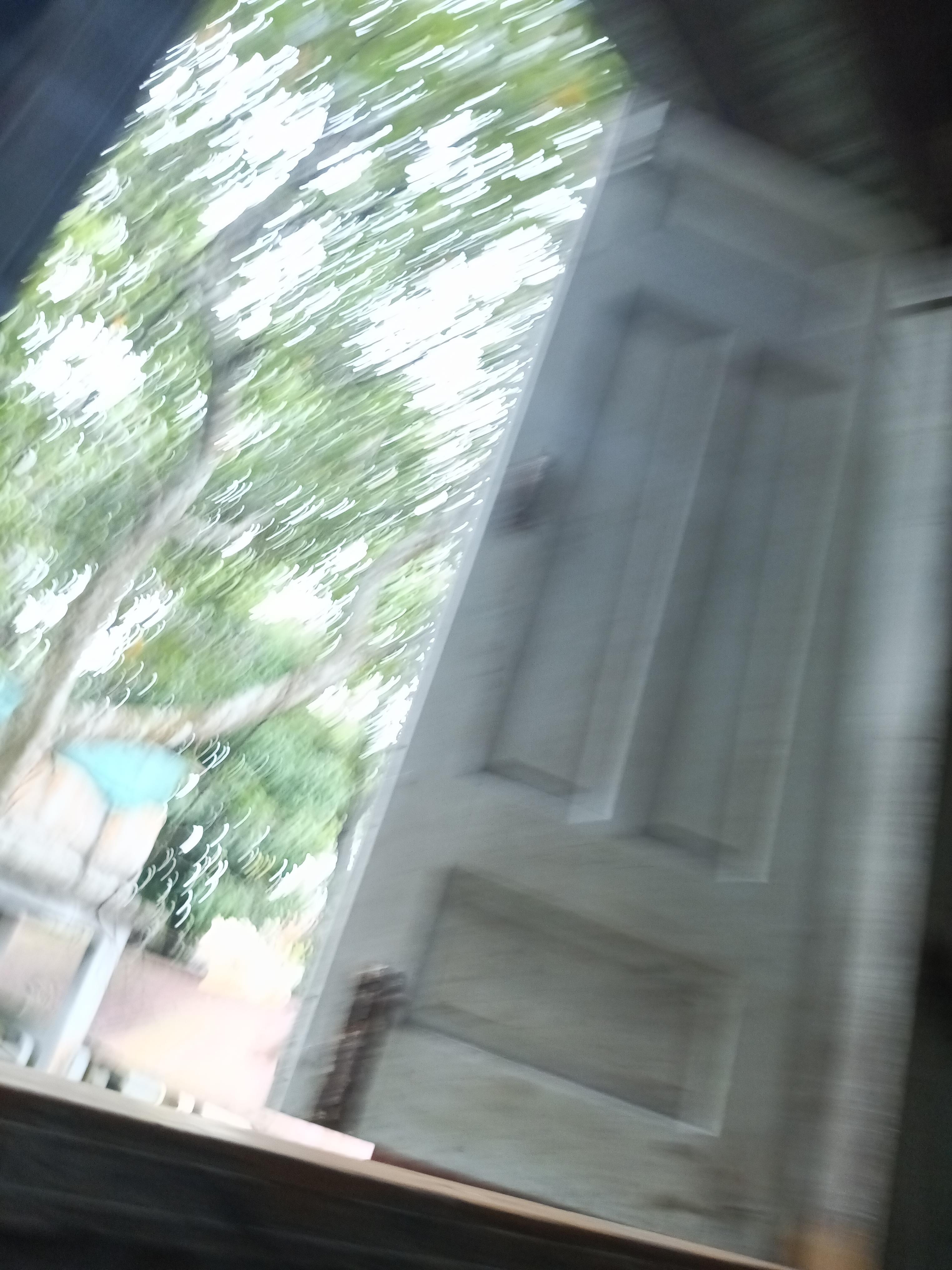 Mini Royale - Ko Y's Posts - TapTap