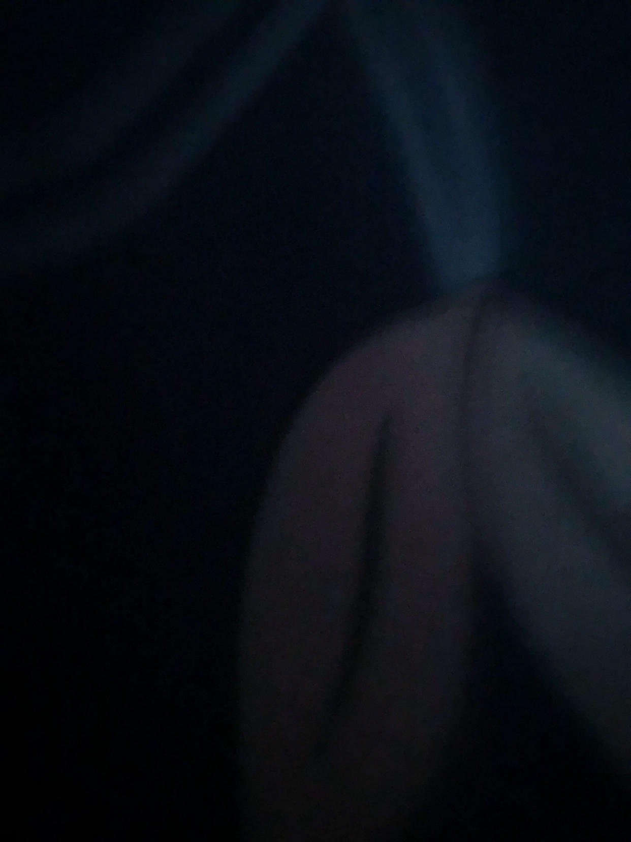 Sausage Man - Helo's Posts - TapTap