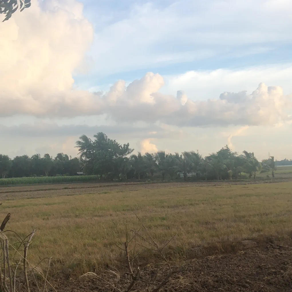 very good...-Ng Chuob's Posts - TapTap