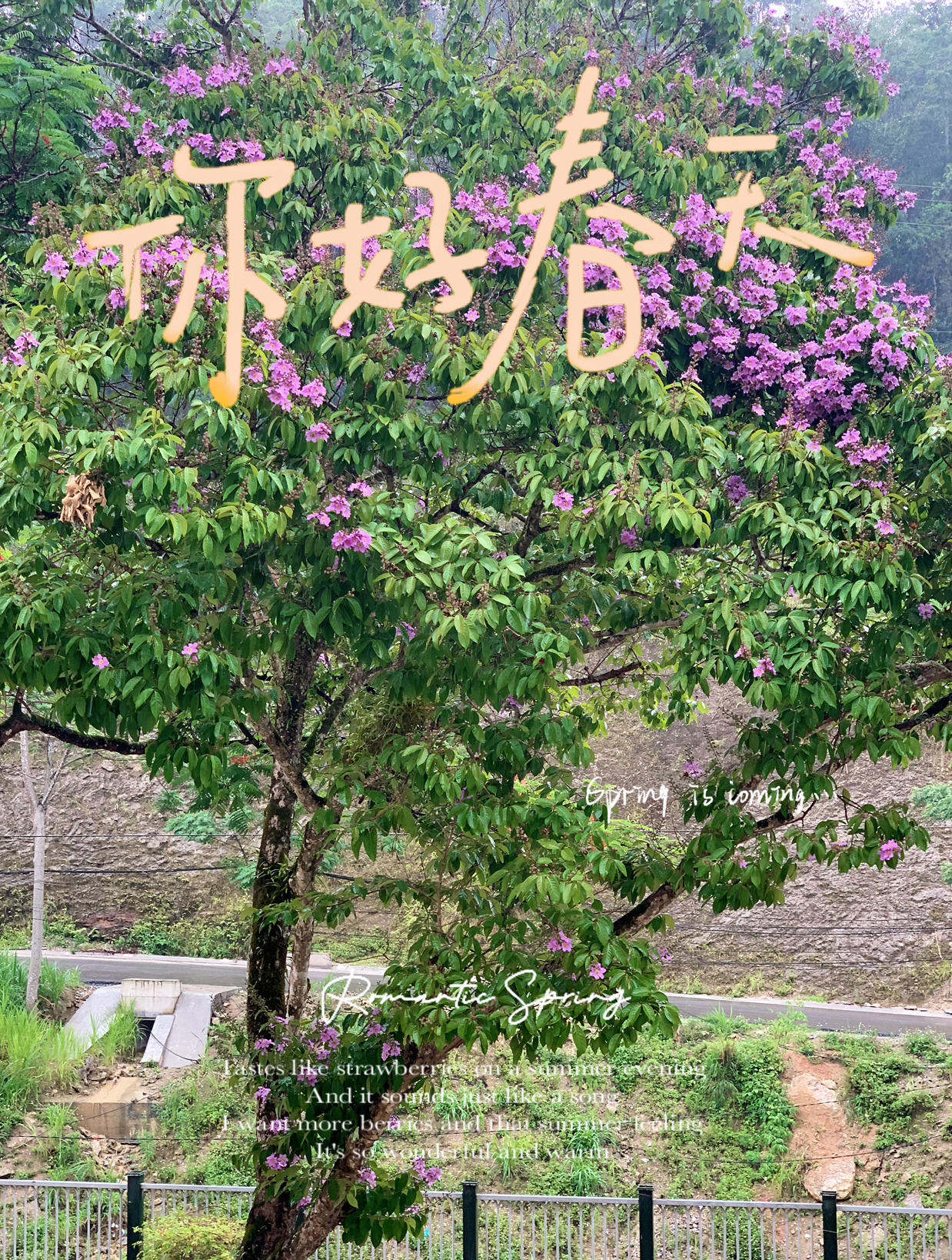 Minecraft: Play with Friends - nhatanh's Posts - TapTap